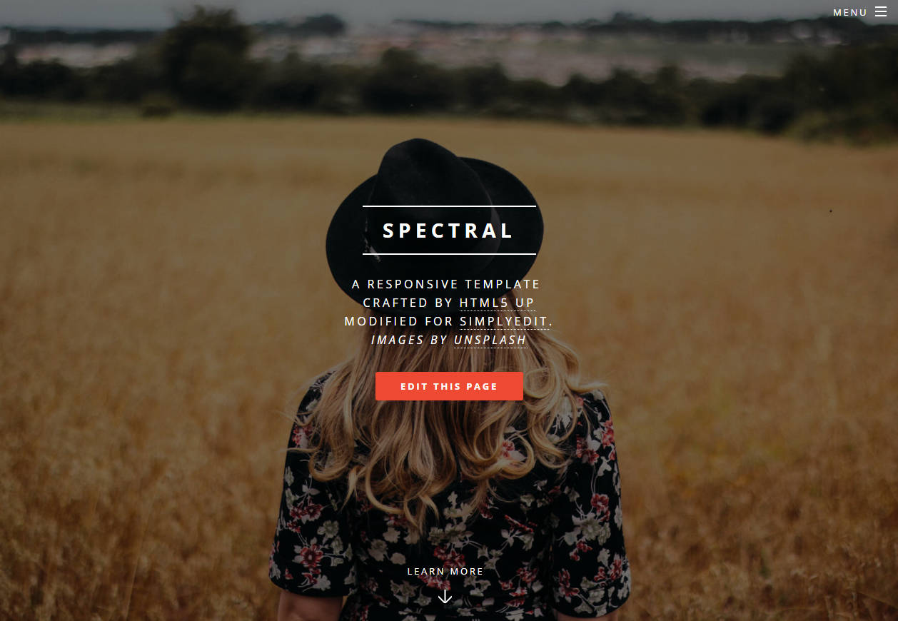 Simply Edit Anything